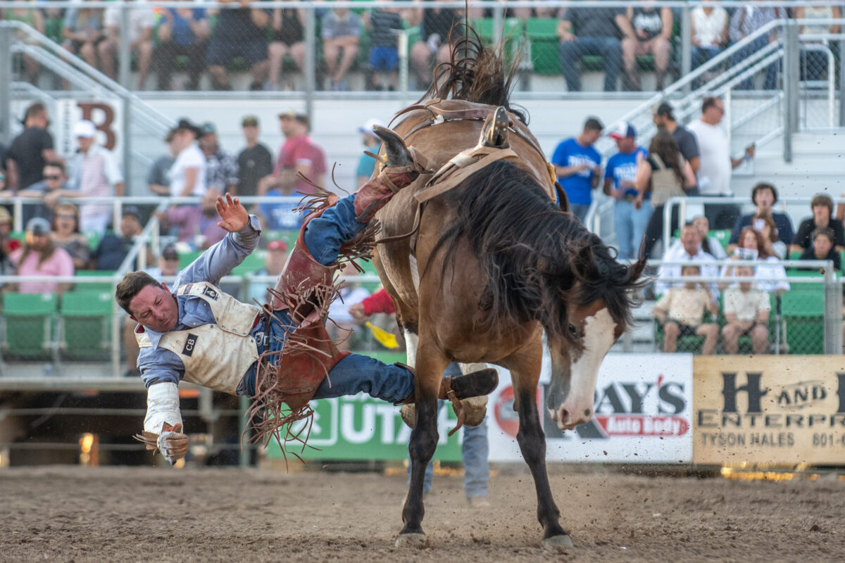 PHOTOS: Giddy up! Riders, residents, enthusiasts join together at Ogden ...